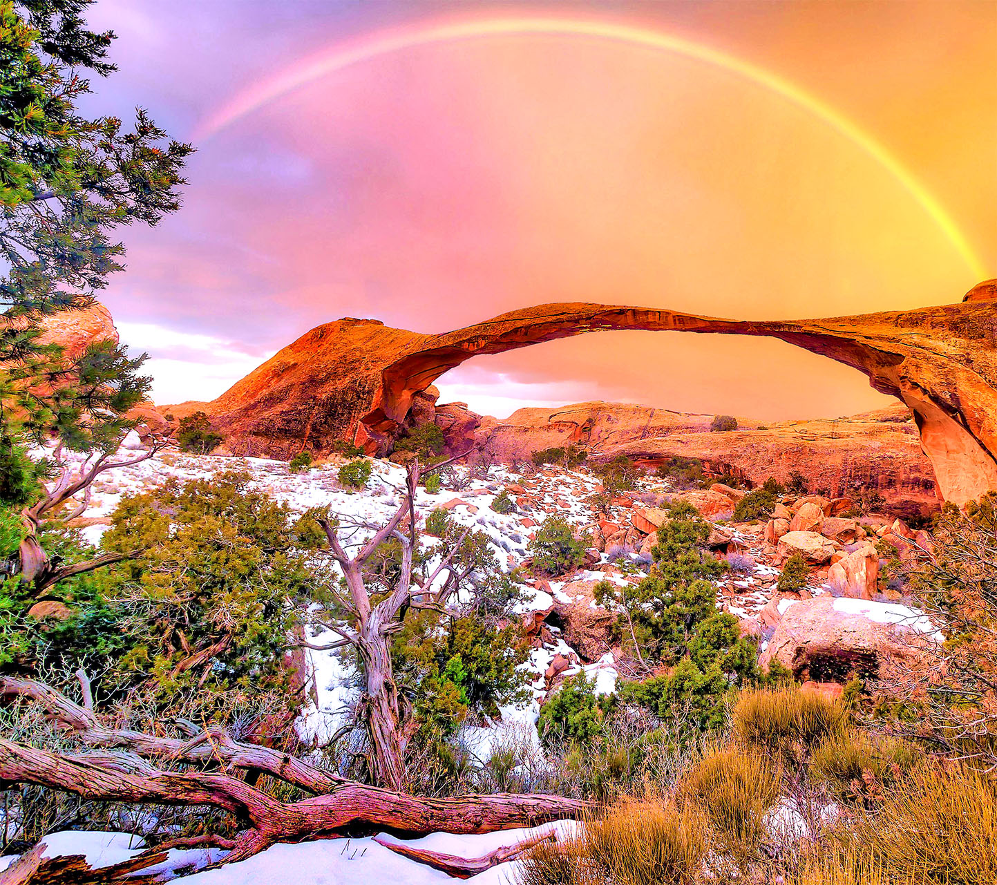 Winter Arch Jigsaw Puzzle